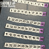 How To Teach Skip Counting With Effective and Fun Activities - Saddle ...