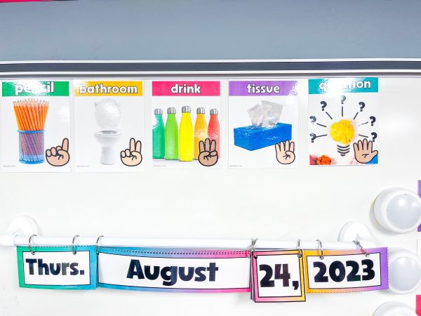 Classroom Reveal and Tour 2023-2024 | Surprise - I’m Back In 2nd Grade!
