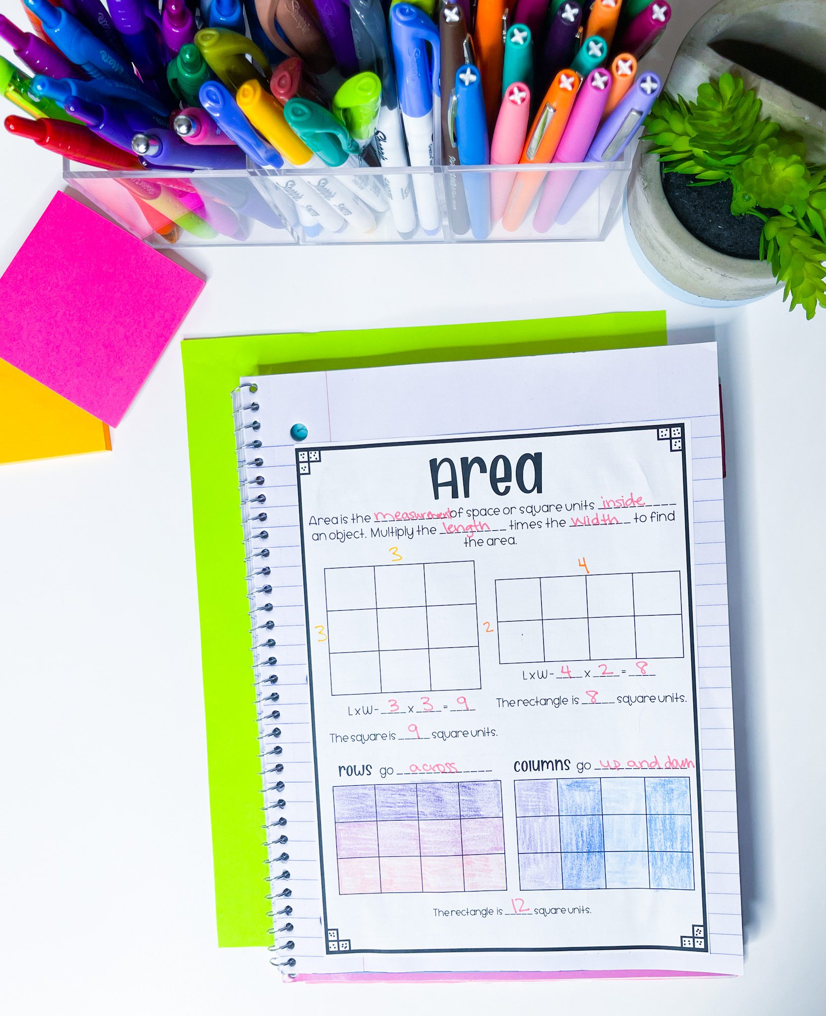 Teaching Area With Multiplication | Free Measurement Lesson Plan for ...